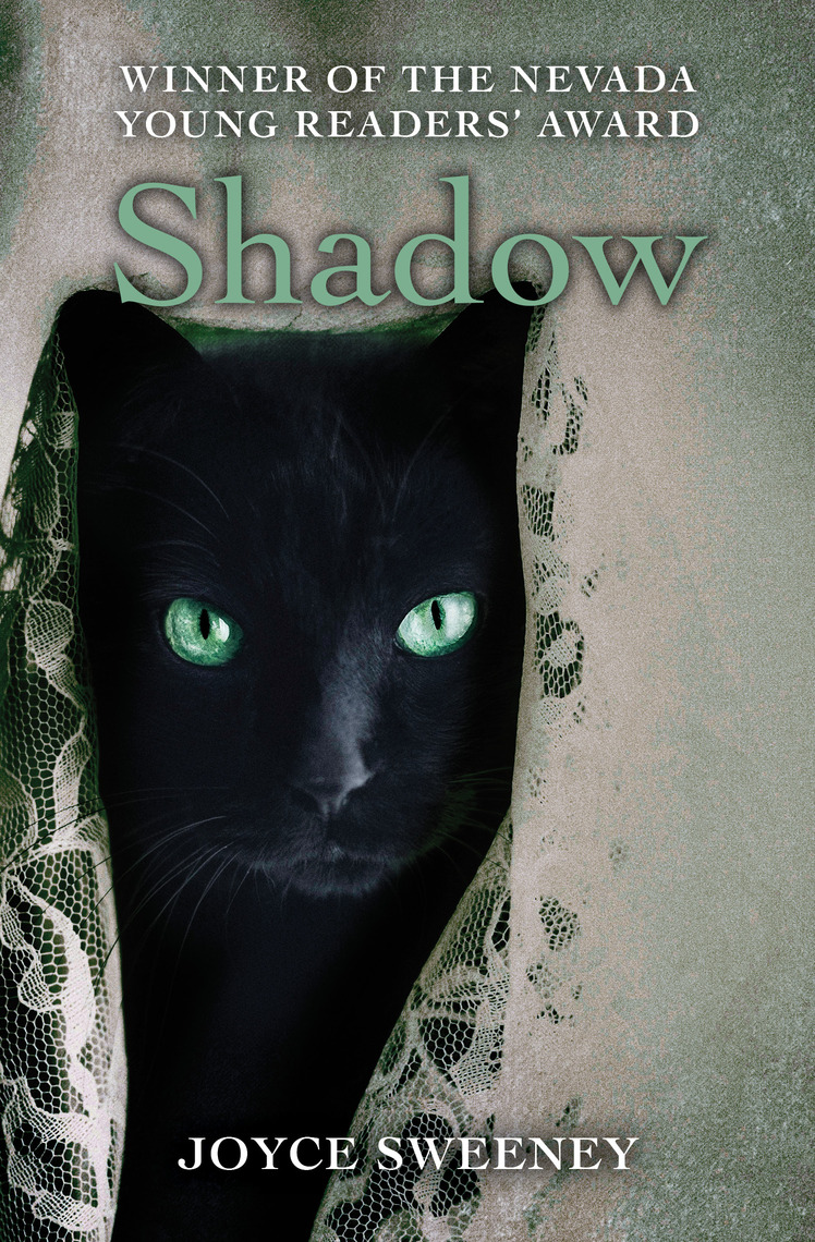 Shadow by Joyce Sweeney (Ebook) - Read free for 30 days