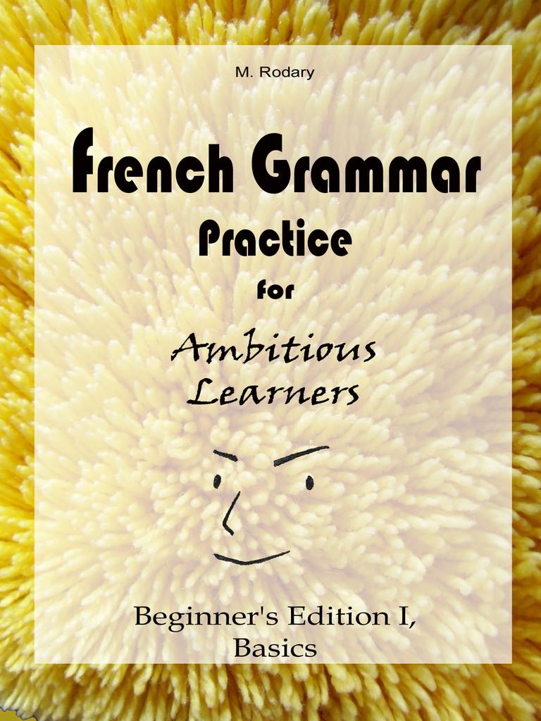 French Grammar Practice for Ambitious Learners - Beginner's Edition I ...
