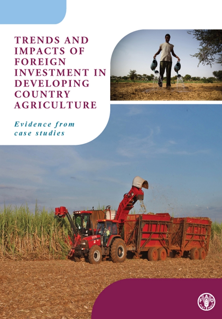 Trends and Impacts of Foreign Investment in Developing Country ...