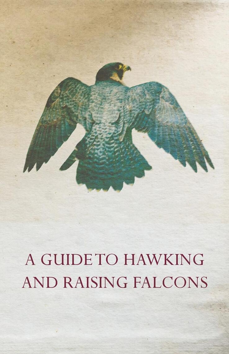 A Guide to Hawking and Raising Falcons - With Chapters on the Language ...
