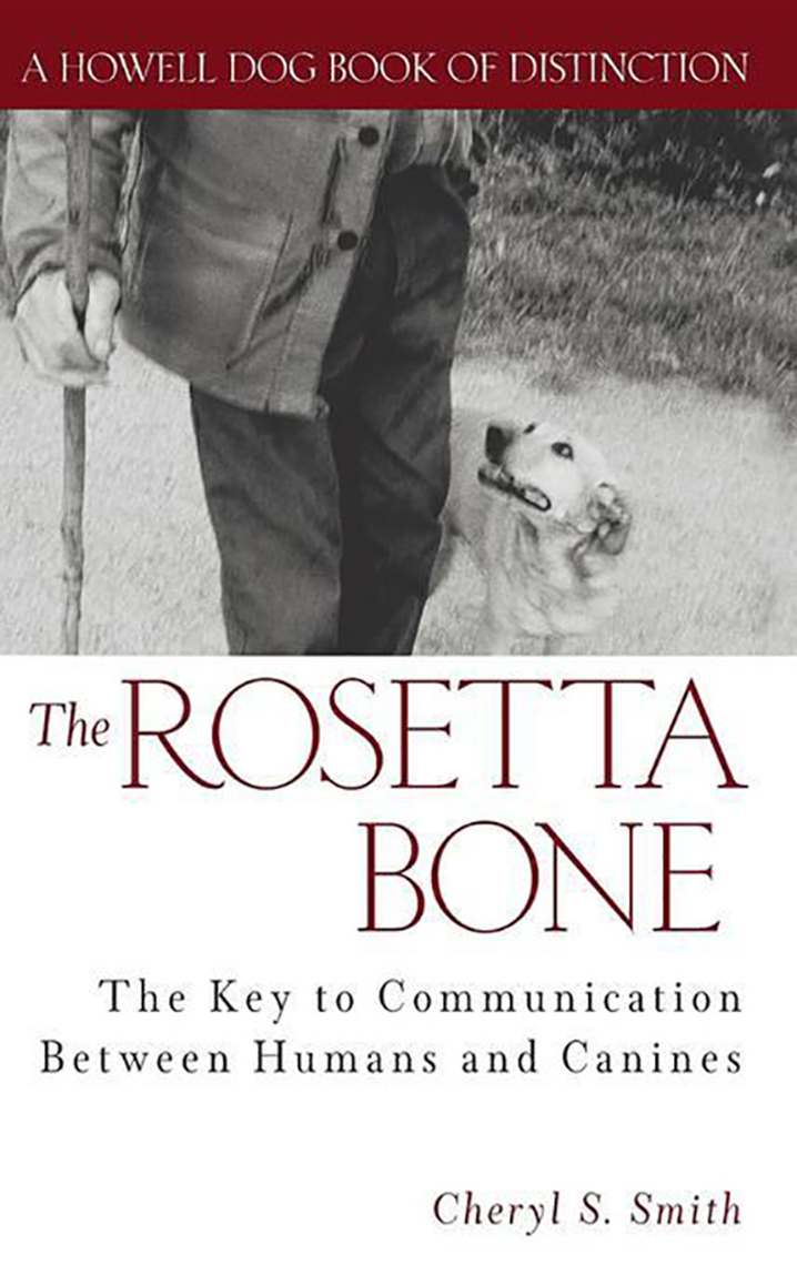 The Rosetta Bone by Cheryl S. Smith - Ebook | Everand