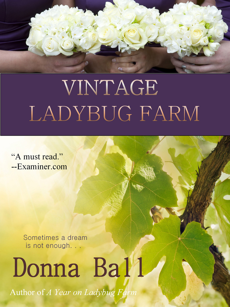 Vintage Ladybug Farm by Donna Ball (Ebook) - Read free for 30 days