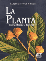 Atlas Anatomia Vegetal PDF | PDF | Hogar y jardín