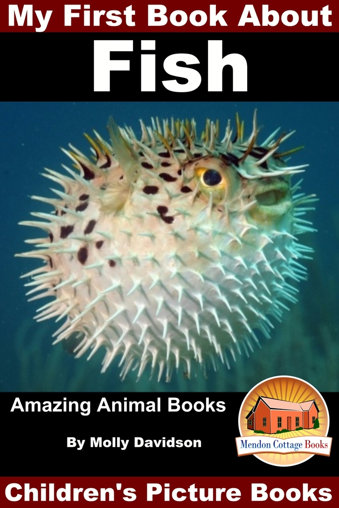 My First Book About Fish: Amazing Animal Books - Children's Picture ...