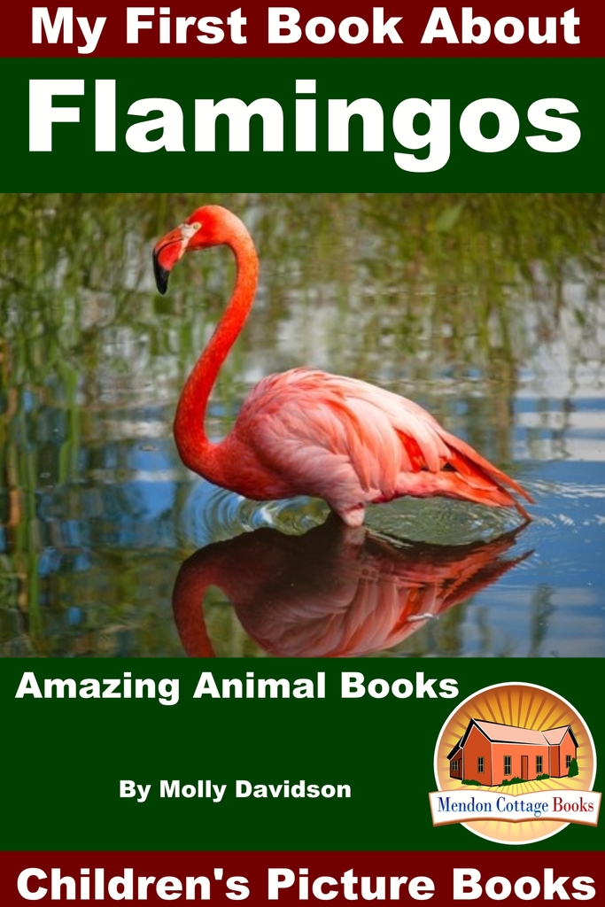 My First Book About Flamingos: Amazing Animal Books - Children's ...