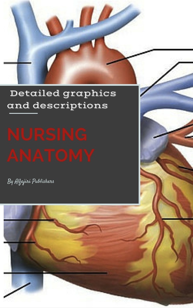 Nursing Anatomy Physiology By John Thuko Read Online