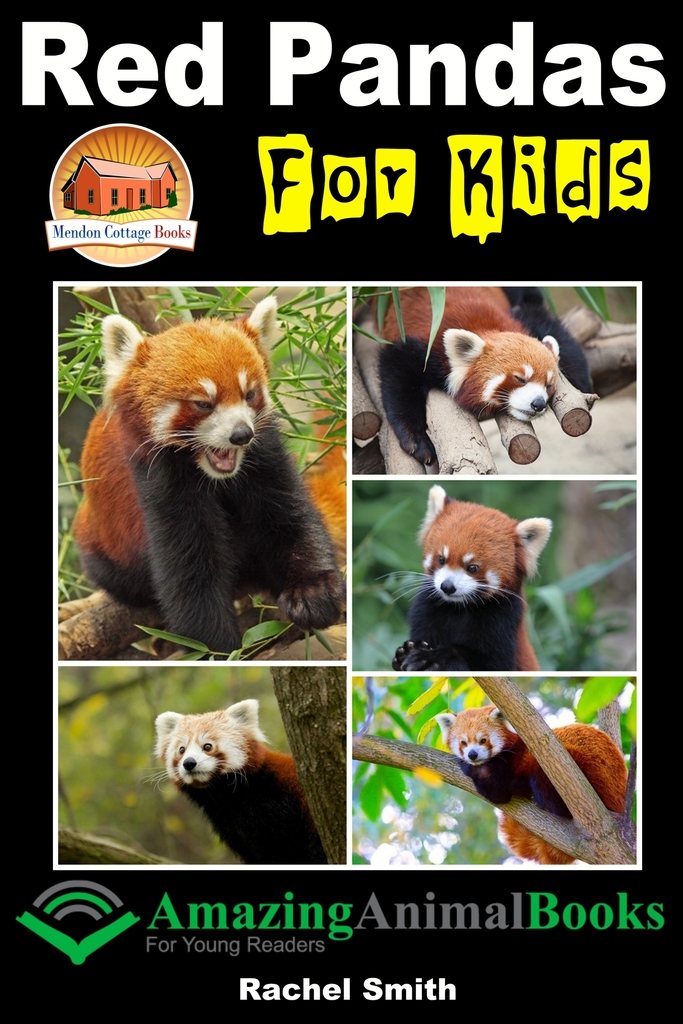 Red Pandas For Kids by Rachel Smith - Ebook | Everand