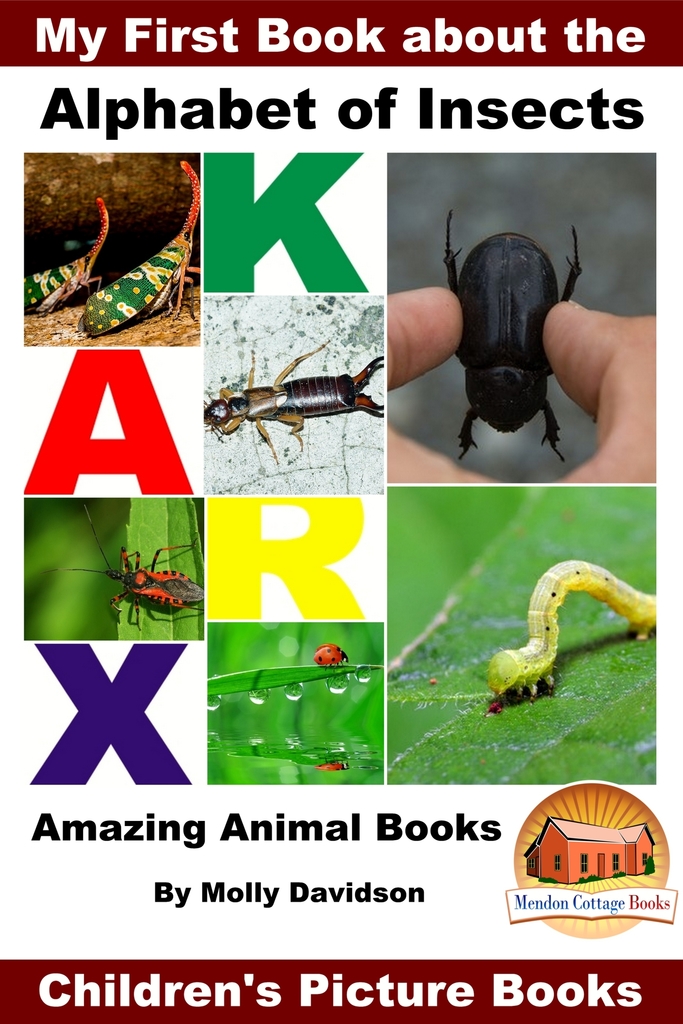 My First Book about the Alphabet of Insects: Amazing Animal Books ...