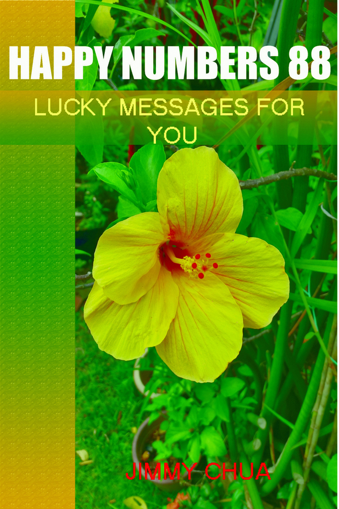 Happy Numbers 88 - Lucky Messages for You by Jimmy Chua (Ebook) - Read ...