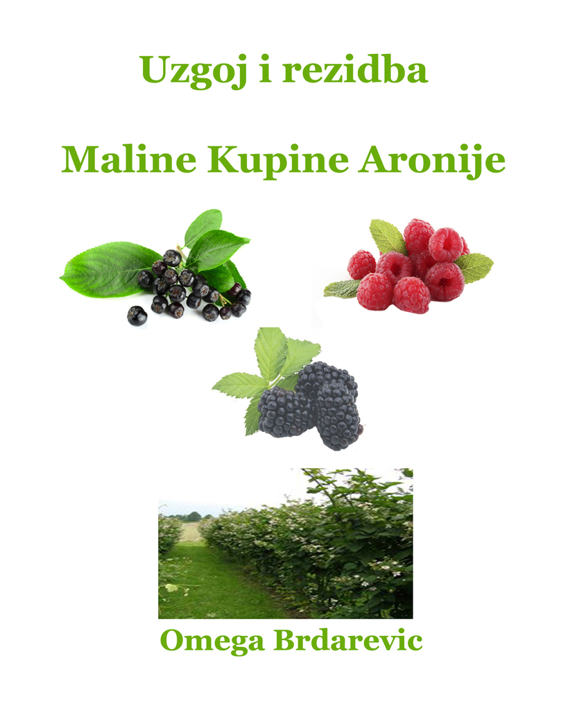 Uzgoj i rezidba Maline Kupine Aronije by Omega Brdarevic - Ebook | Everand