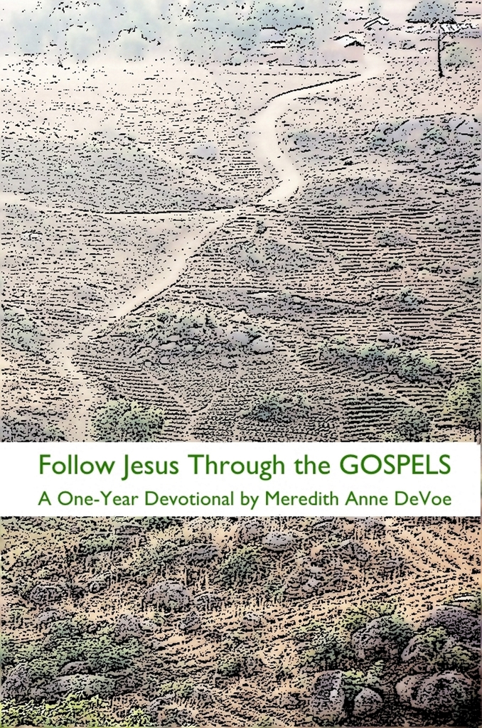 Follow Jesus Through the Gospels: A One-Year Devotional by Meredith ...