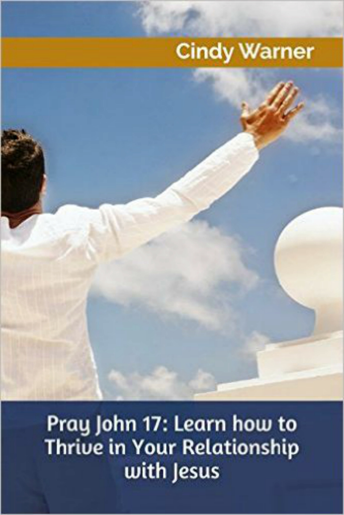 Pray John 17: Learn how to Thrive in Your Relationship with Jesus by ...