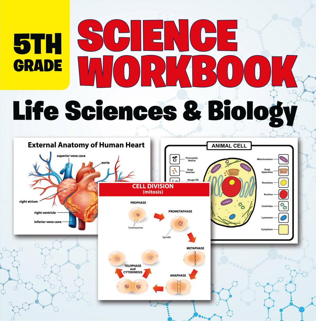 read-5th-grade-science-workbook-life-sciences-biology-online-by-baby