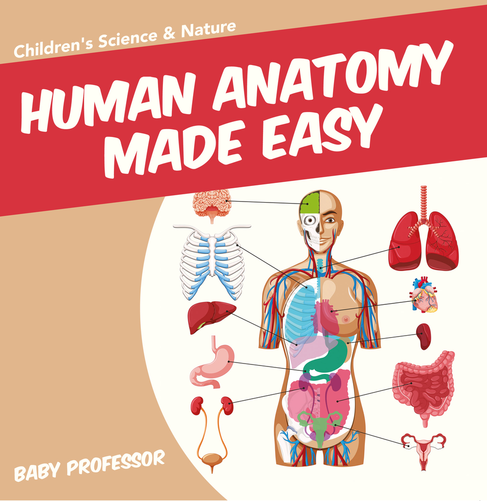 Human Anatomy Made Easy - Children's Science & Nature by Baby Professor ...