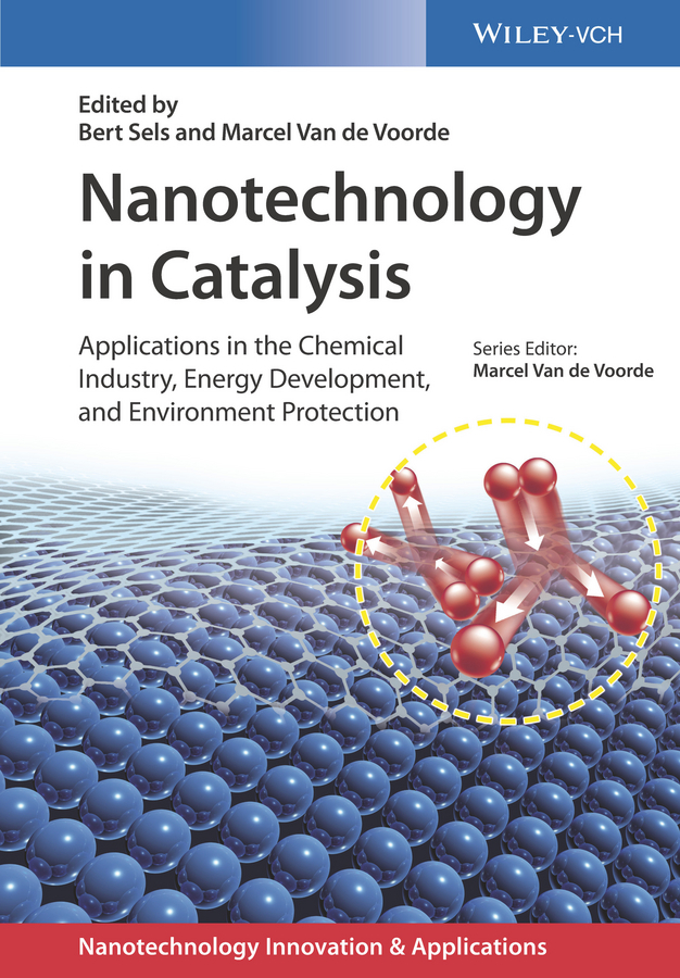 Nanotechnology in Catalysis by Bert Sels, Marcel Van de Voorde (Ebook ...