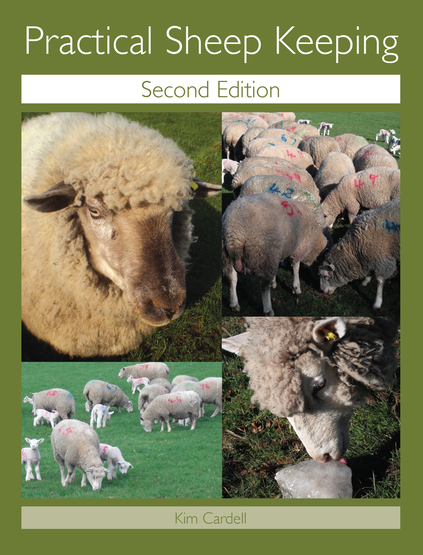 Practical Sheep Keeping By Kim Cardell Book Read Online