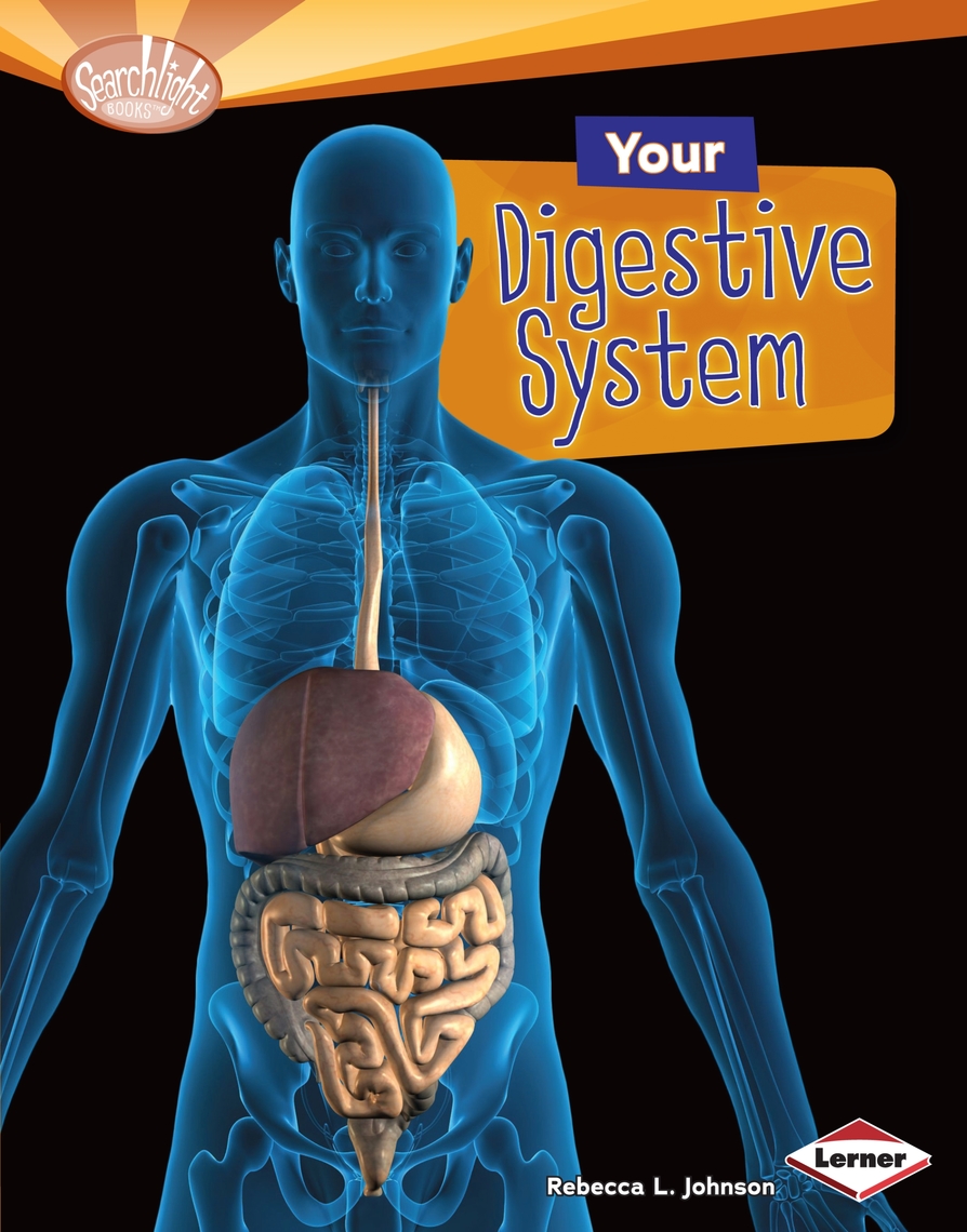 Your Digestive System by Rebecca L. Johnson - Book - Read Online