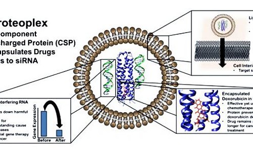 Biomaterial Package Delivers Chemo and Fights Resistance - Futurity ...