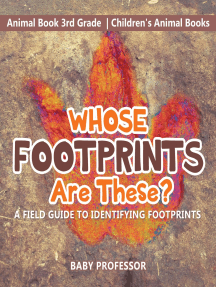 Whose Footprints Are These? A Field Guide to Identifying Footprints ...
