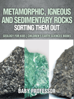 Sedimentary Rocks (Lecture Notes) | PDF | Sedimentary Rock | Shale