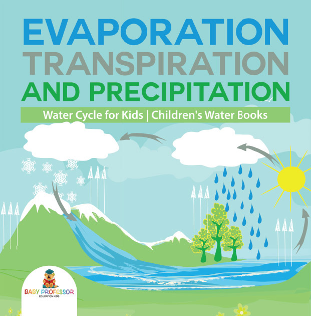 Evaporation, Transpiration and Precipitation | Water Cycle for Kids ...