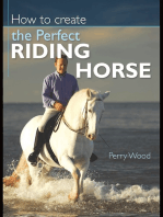 Basic Horse Training | PDF | Equidae | Horses