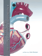 ROTEM Interpretation | PDF | Coagulation | Blood