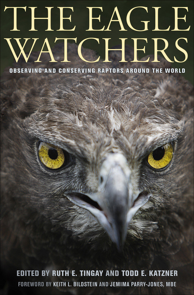 The Eagle Watchers by Ruth Tingay, Todd Katzner, Keith L. Bildstein ...