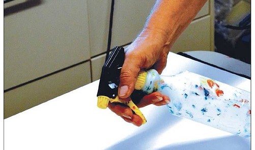 Bluey the Fish - Artist's Back to Basics | Everand