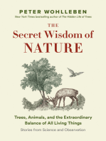 Case Study - The Wolves of Isle Royale | PDF | Predation | Island