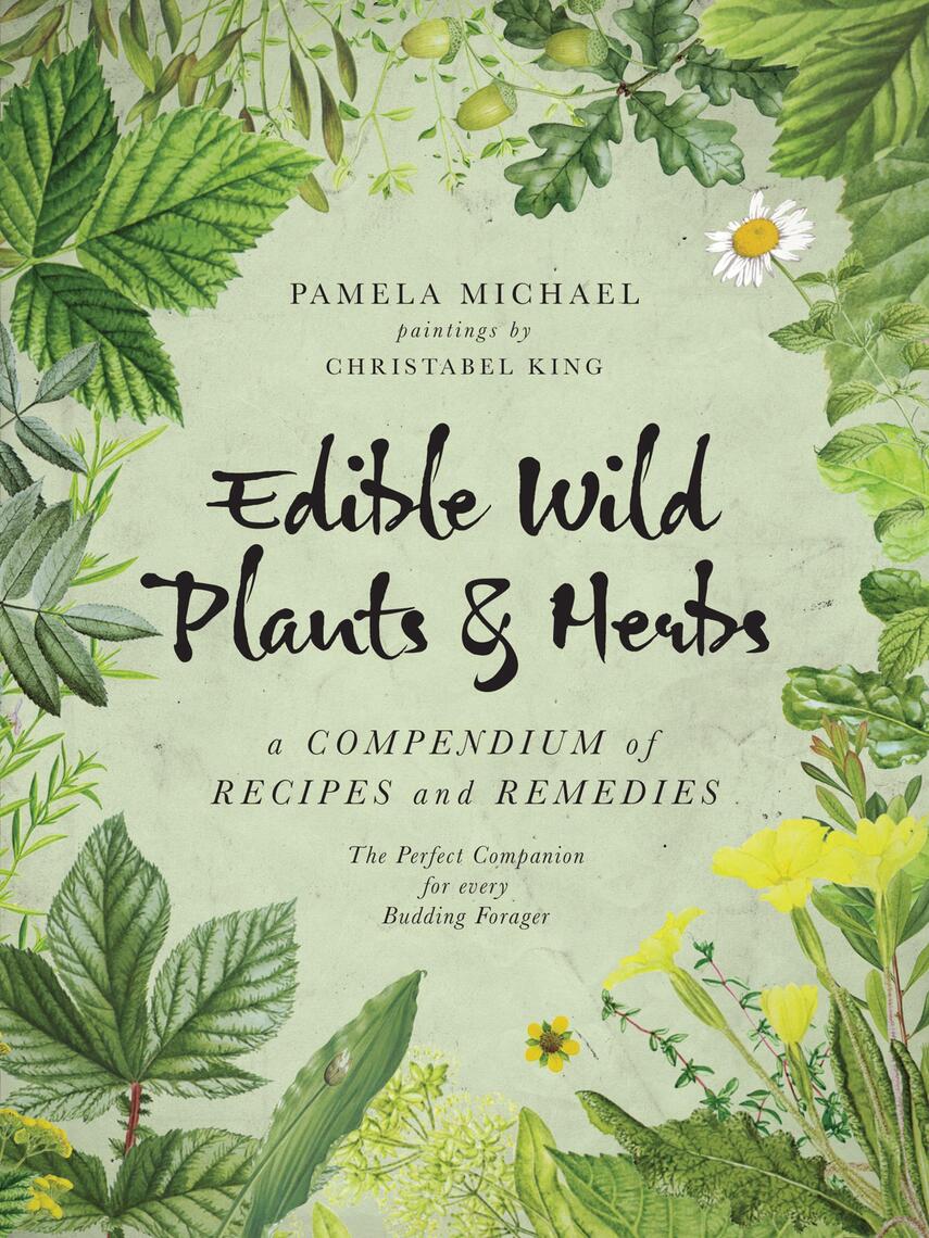 Edible Wild Plants & Herbs by Pamela Michael, Christabel King (Ebook ...