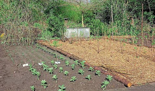 The Cultivated Plot: Engineering Works - Kitchen Garden | Everand