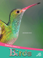 Dichotomous Key Lizard | PDF | Taxonomy (Biology) | Species