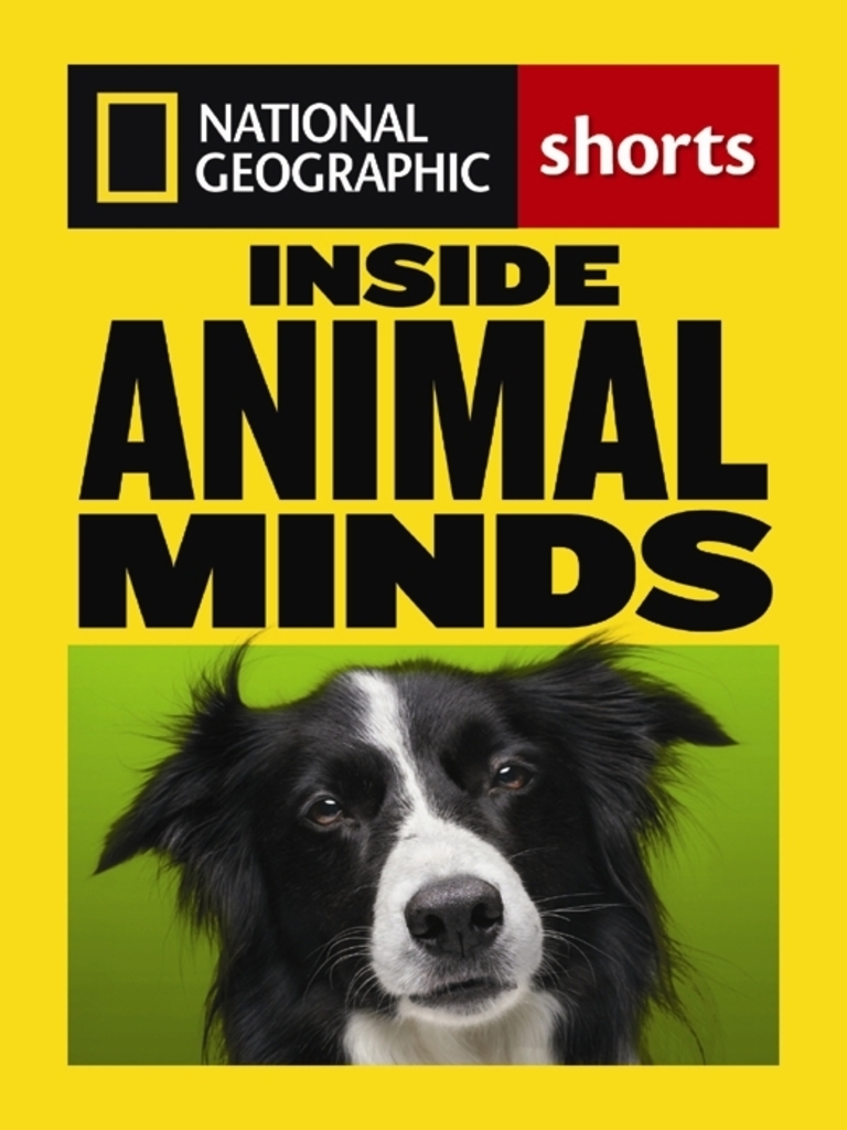 Inside Animal Minds by Virgina Morell, and Peter Miller, Mary Roach ...