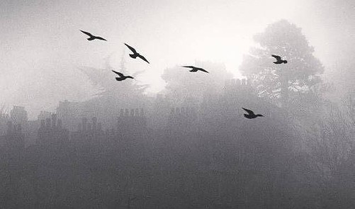 Michael Kenna A 45-year retrospective - Amateur Photographer | Everand