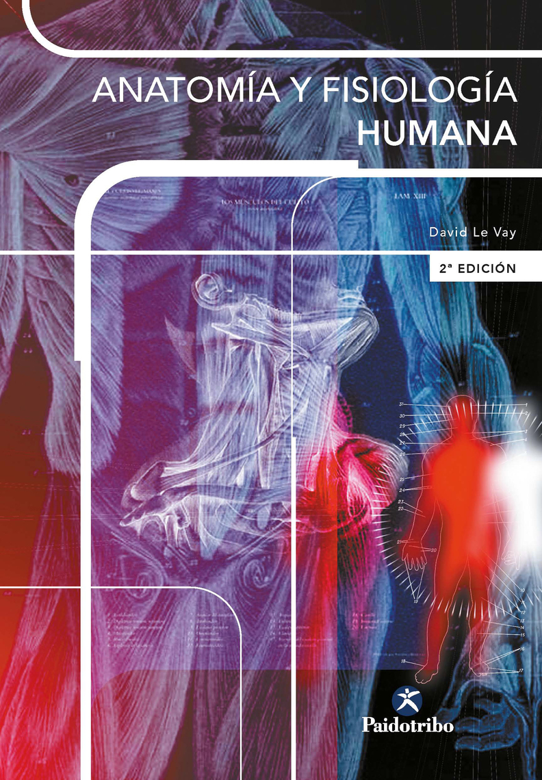 Lea Anatomía y fisiología humana de David Le Vay en línea | Libros