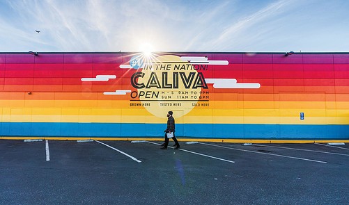 How Cannabis Company Caliva Survived a Business-Ending Regulation ...