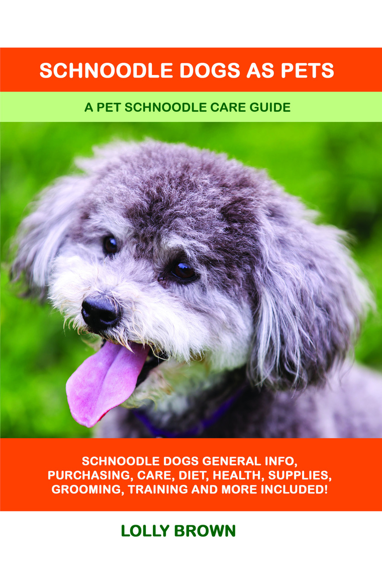 Schnoodle Dogs as Pets. A Pet Schnoodle Care Guide by Lolly Brown ...