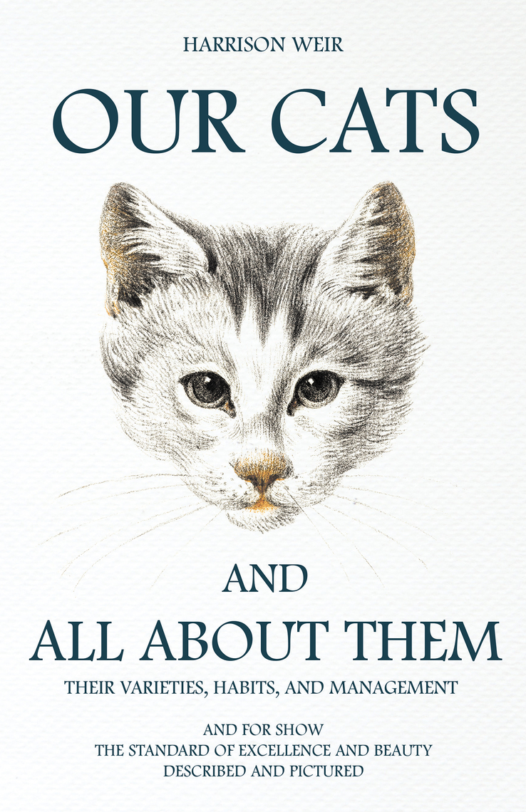 Our Cats and All about Them - Their Varieties, Habits, and Management ...