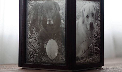 Photo Frame CRAFTS - Capper's Farmer | Everand