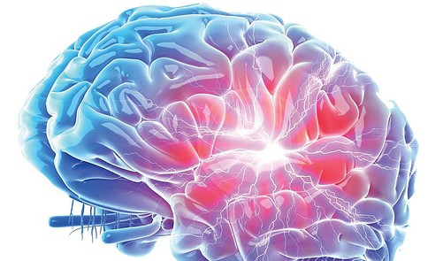 How Does The Brain Remember? - How It Works | Everand