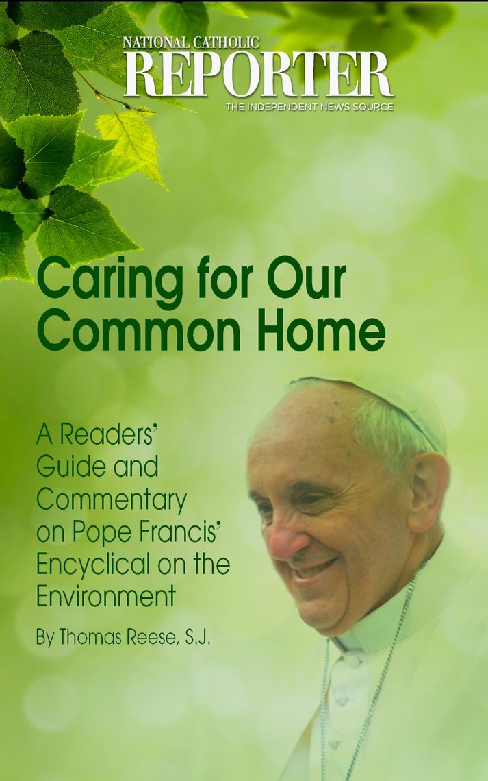 Caring for our Common Home: A Readers’ Guide and Commentary on Pope ...
