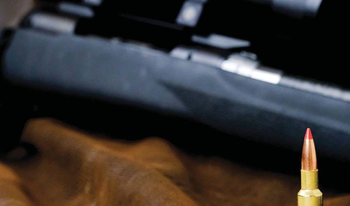 A Savage Overhaul - Gun Digest | Everand