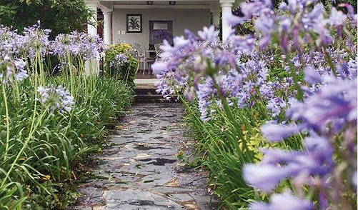 Dié Maand In Jou Tuin - Tuis | Everand