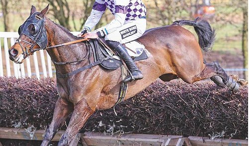 Sartorial Excellence - Horse & Hound | Everand