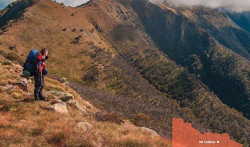 The Bluff to Mt Cobbler - Wild | Everand