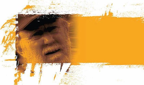 How To Handle Bites And Stings. - 4x4 Magazine Australia | Everand