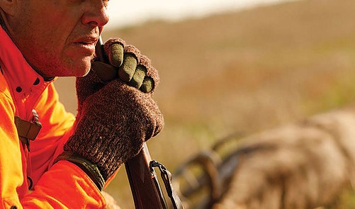 12 Vital Roles Of Deer Hunters - Deer & Deer Hunting | Everand