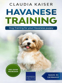 Are Havanese Easy To Train