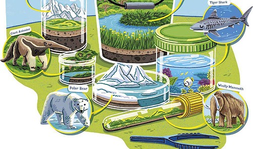 eDNA THE NEW NUMBERS GAME - BBC Wildlife Magazine | Everand